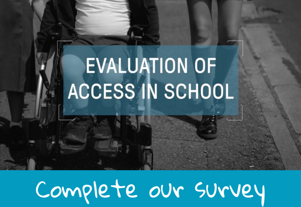 School accessibility assessment survey - STEPS Charity